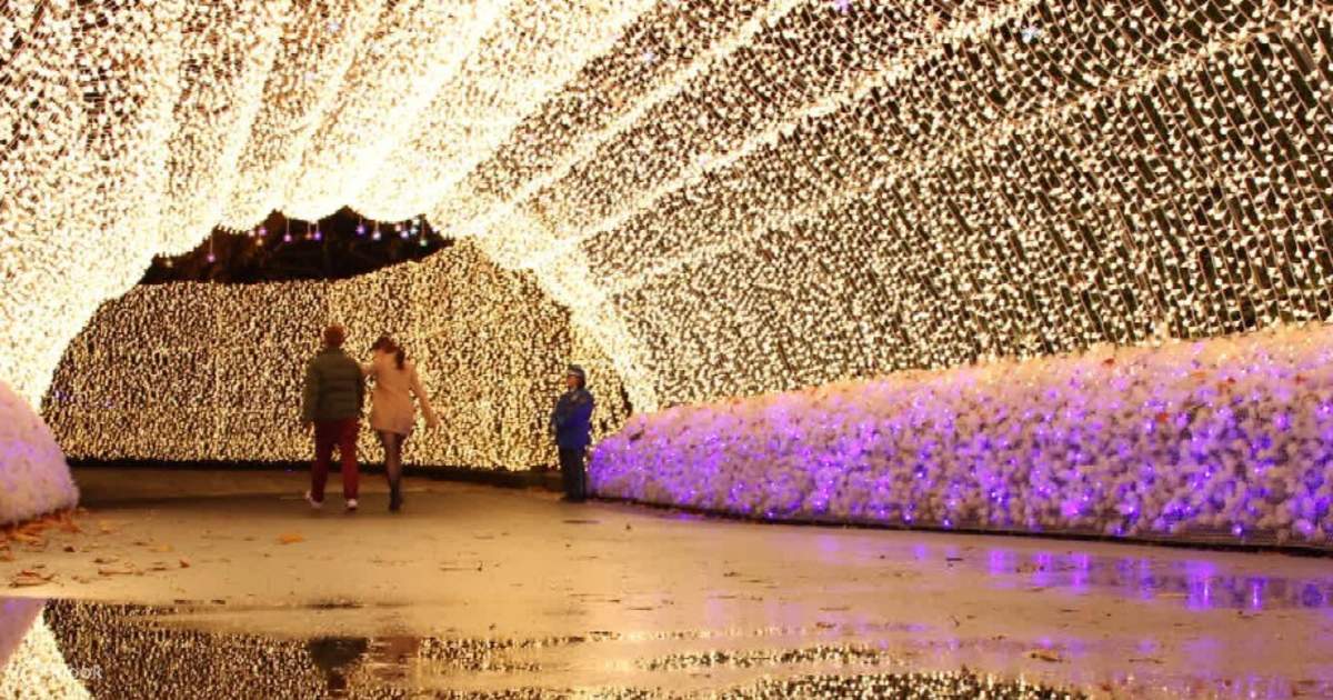 Tsuchiguchi Farm, Aqua Ignis, and Nabana No Sato with Round Trip Bus Transfers from Osaka - 클룩 ...